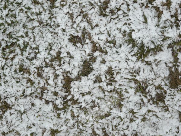 frozen ground texture 0031 - Texturelib